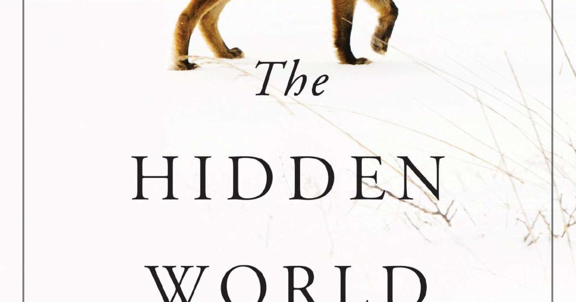 The oft-ignored fox finally gets its due | Book Reviews | newsminer.com