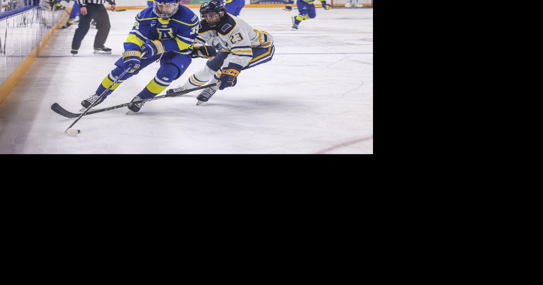 UAF splits series with Augustana in Carlson Center reopening | UAF ...