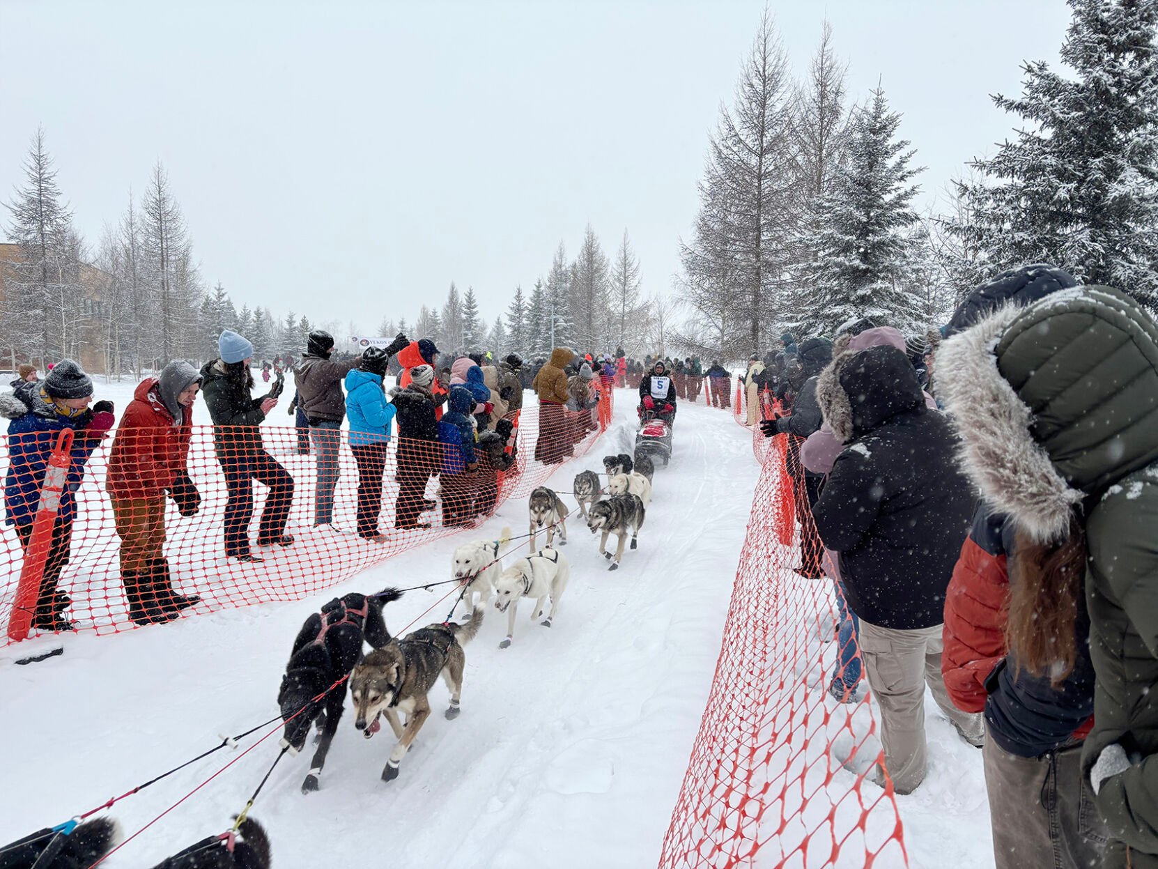 YQA 550 update: Jeff Deeter extends lead | Yukon Quest | newsminer.com