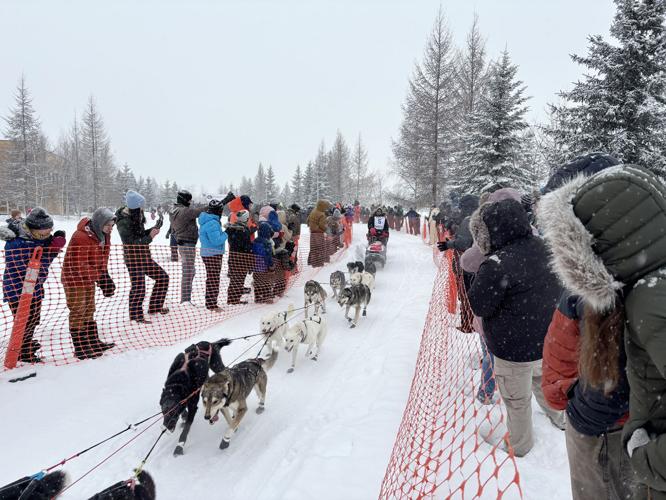 Thousands cheer on dog teams as 2025 Yukon Quest Alaska takes off from ...