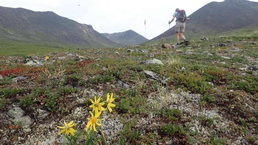 ‘Prindle personal trainers’ keep hikers motivated | Outdoors ...