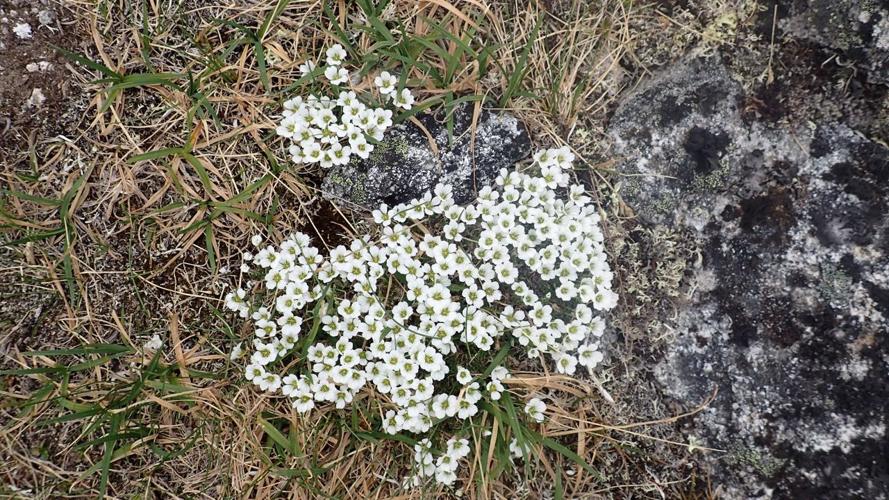 ‘Prindle personal trainers’ keep hikers motivated | Outdoors ...