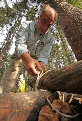 Military, chamber of commerce unite to pick up trash on post | Local ...