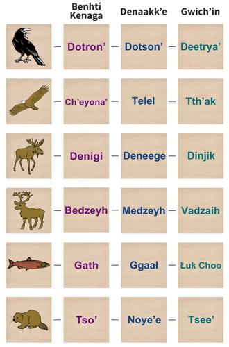 Dice game gets an update to include Interior Alaska Native languages ...