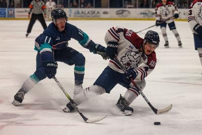 Ice Dogs swept by Wolverines in high-stakes rivalry clashes | Ice Dogs ...