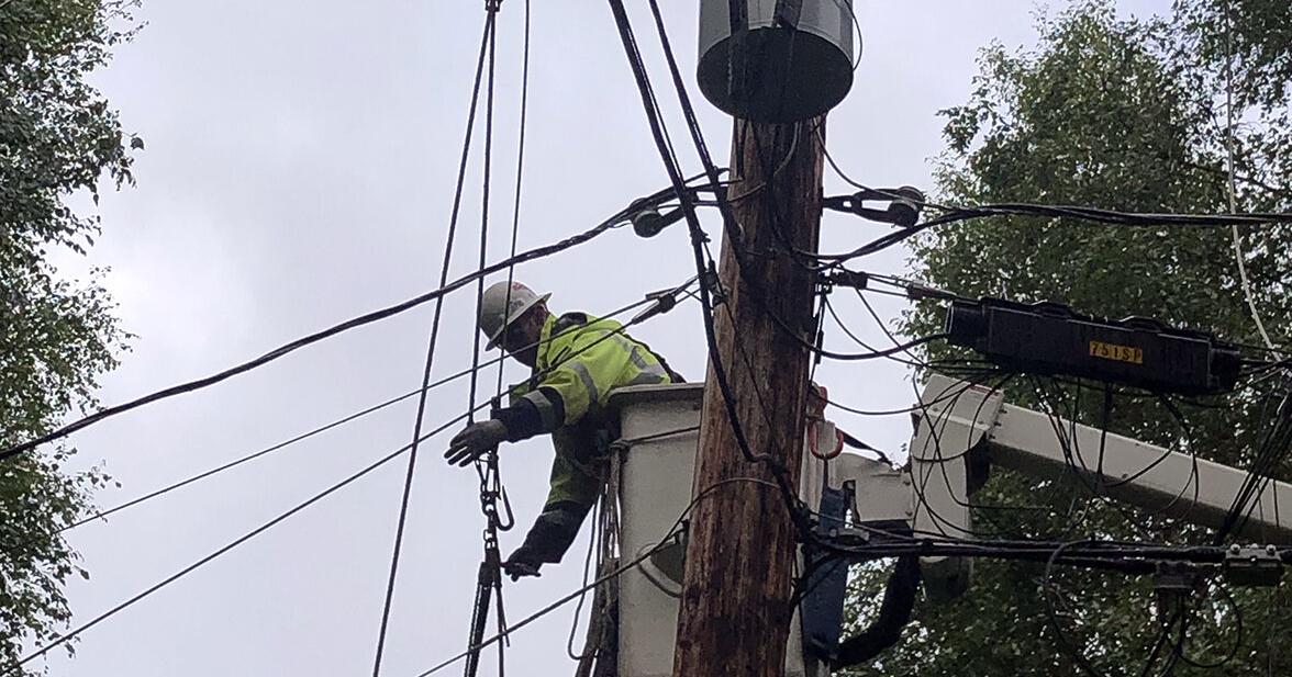 Power mostly restored to Goldstream Valley after tree falls on lines ...