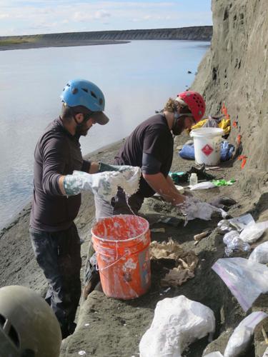 New digs, new discoveries and new dinosaurs in Alaska | Latitude 65 ...