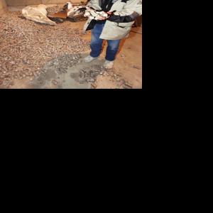 Recycling center owner Bernie Karl will burn paper to generate ...