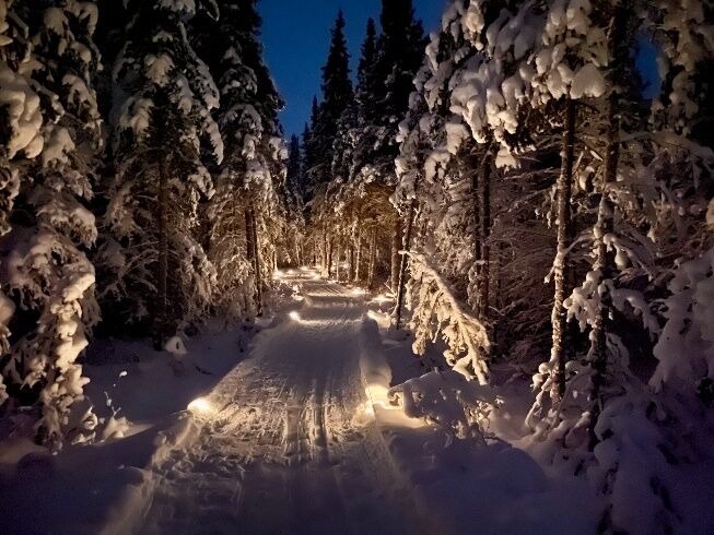 Denali National Park hosts Solstice Ski and Stroll | Latitude 65 | newsminer.com