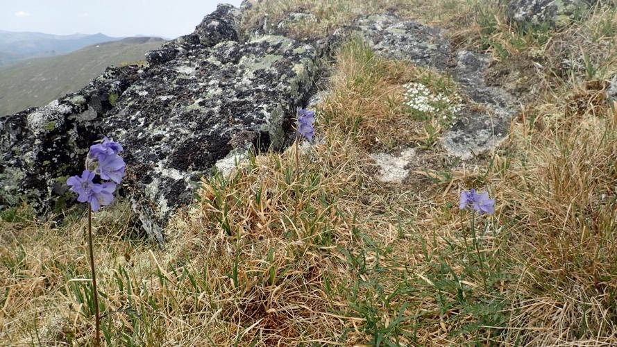 ‘Prindle personal trainers’ keep hikers motivated | Outdoors ...