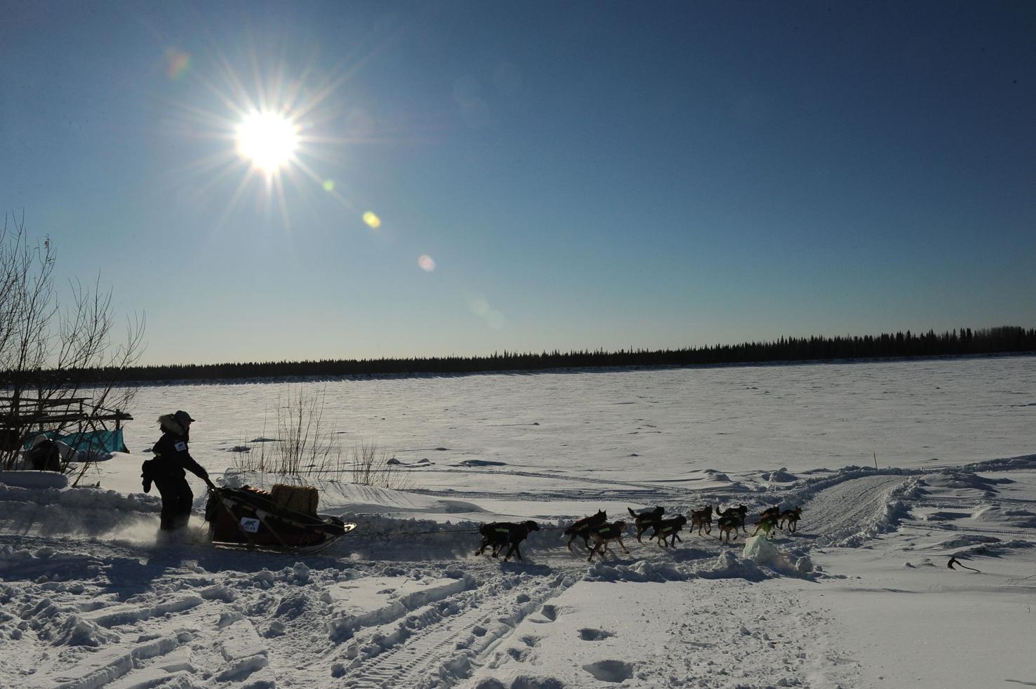 Iditarod teams continue push through Interior Alaska | Iditarod ...