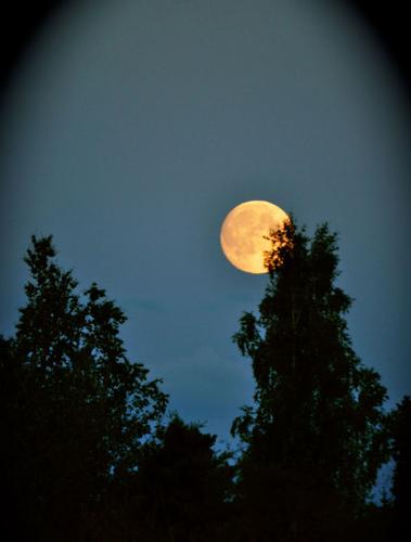 Super moon | Featured | newsminer.com