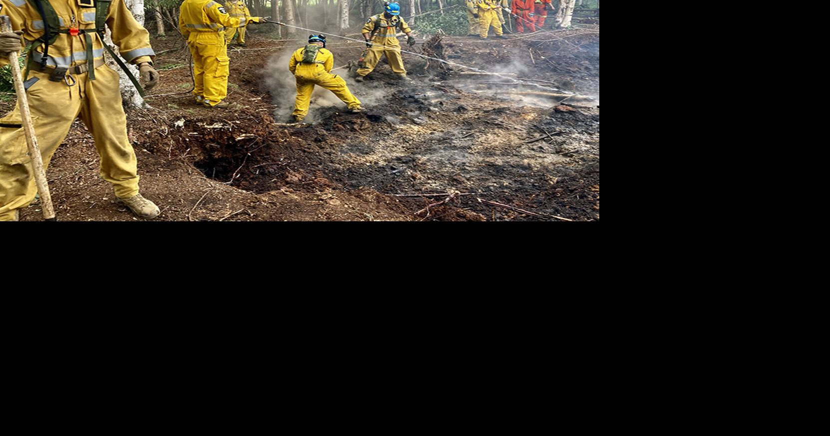 Firefighters share international experiences while on wildland ...