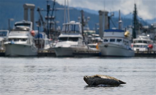 Alaska Daily Life | Featured | newsminer.com