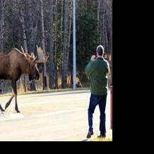 Alaska Daily Life | Featured | newsminer.com