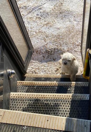 Delivering knowledge: Volunteer Angel Hayes brings Denali students ...