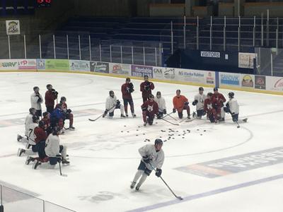 Ice Dogs prepare for final regular season home series this weekend ...