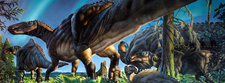 Polar duck-billed dinosaur species discovered in Alaska | Local News ...