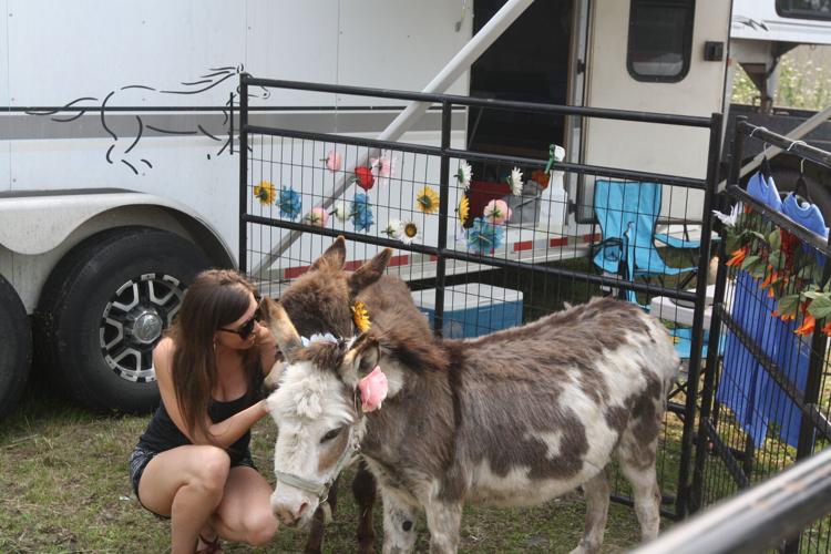 Despite smoke, Salcha Fair goes on | Local News | newsminer.com