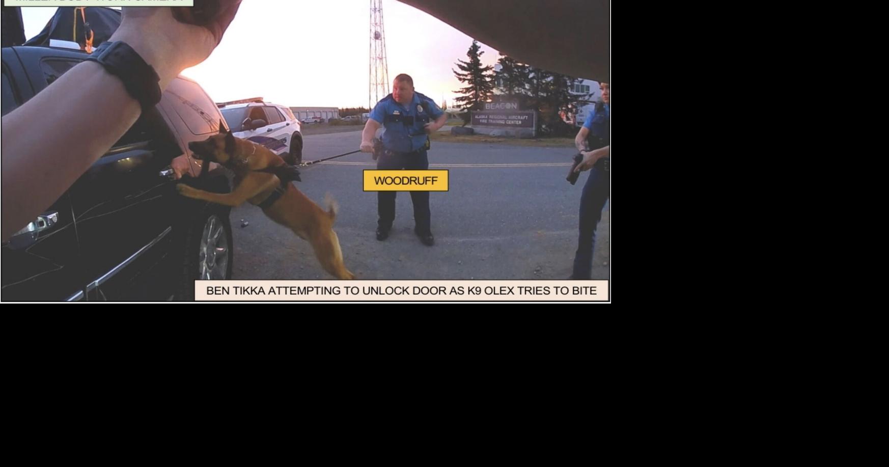 Two troopers charged with assault for using excessive force during an ...