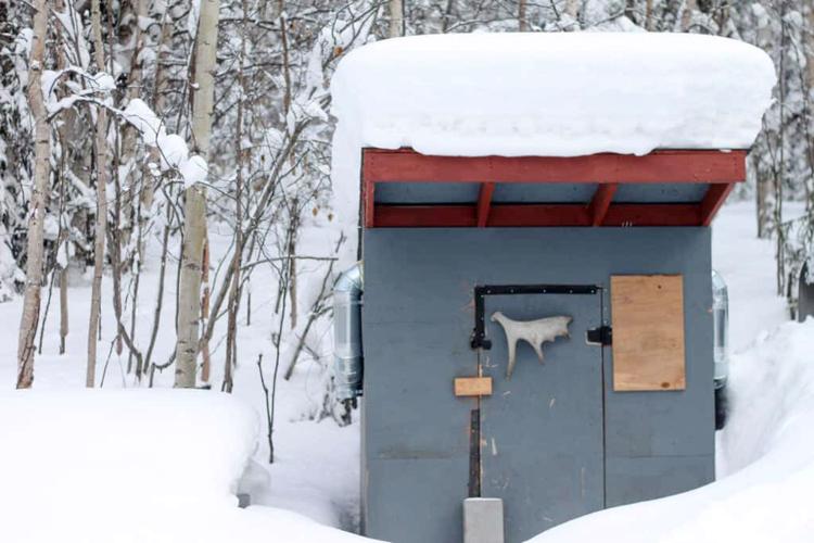 Extreme bee keeping: How to keep your hive alive during the winter ...