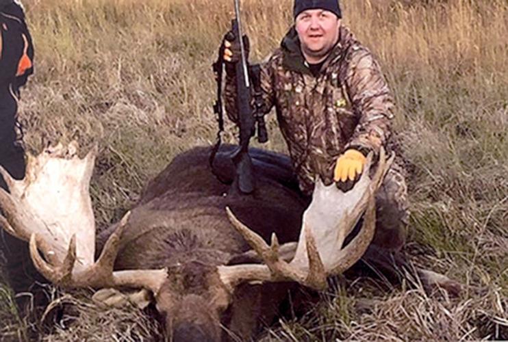 Were there fewer moose this year or was it just me? | Outdoors ...