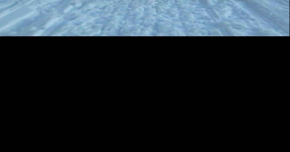 After a moose attack, a musher overcomes her fears to get to the ...