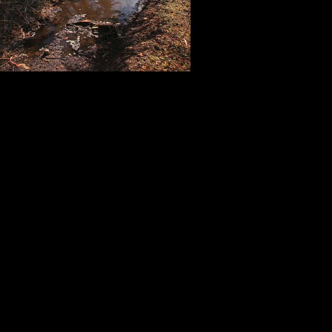 Make the most of muddy May in Interior Alaska | Outdoors | newsminer.com