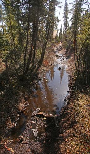 Make the most of muddy May in Interior Alaska | Outdoors | newsminer.com