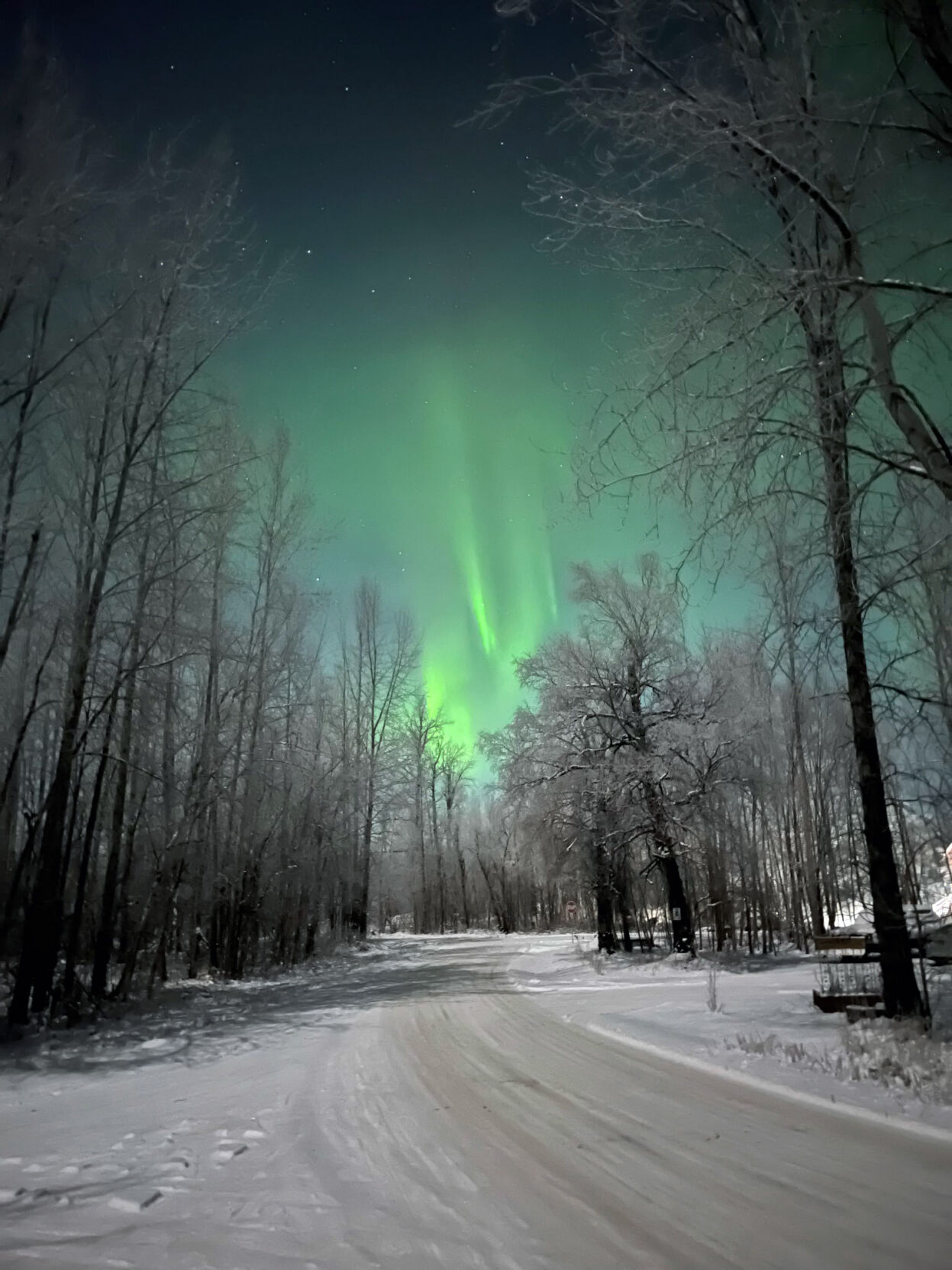 Lights over Palmer | Photo Of The Day | newsminer.com