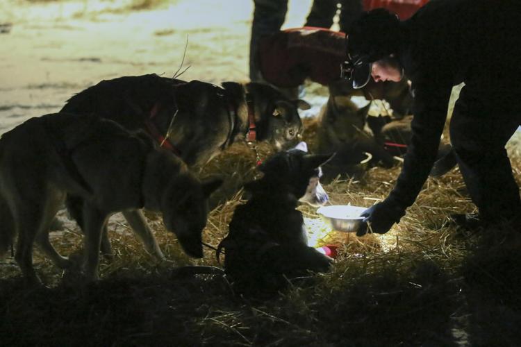 Neese's parents included mushing curriculum in homeschool program ...