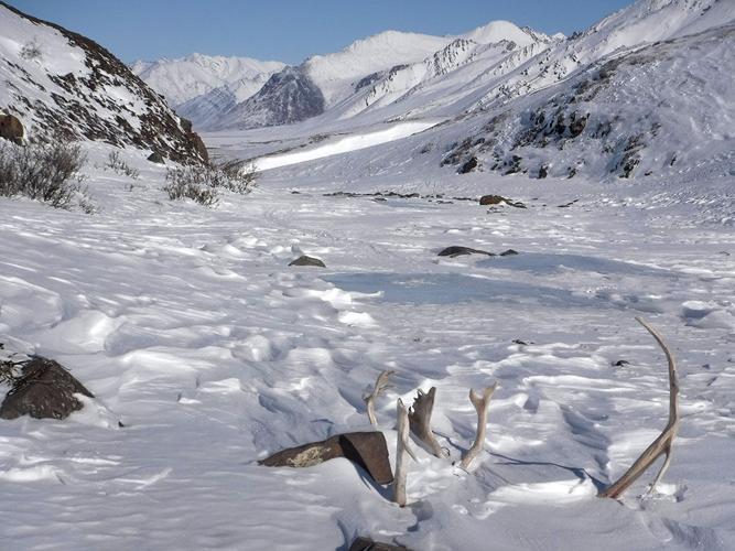 Classic companions: Camaraderie highlights Alaska wilderness trek ...