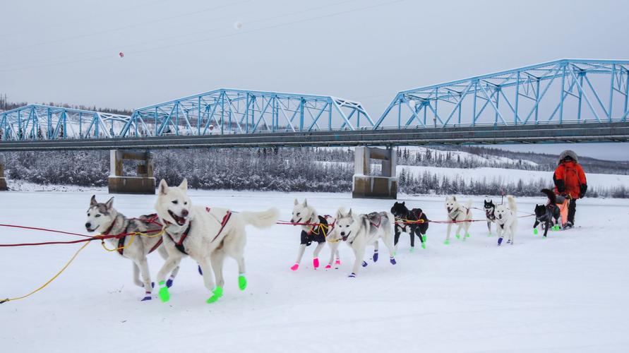 2019 Yukon Quest - Pelly Crossing | Yukon Quest | newsminer.com