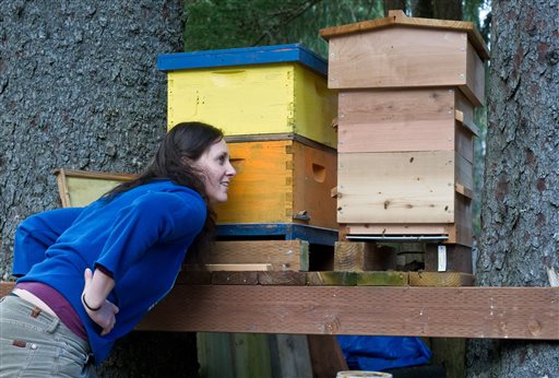 Juneau beekeeper starts hives anew each spring | Alaska News ...