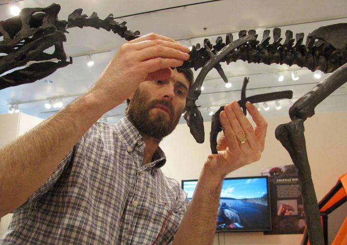 UA Museum of the North puts Alaska on display | Visitors Guide ...