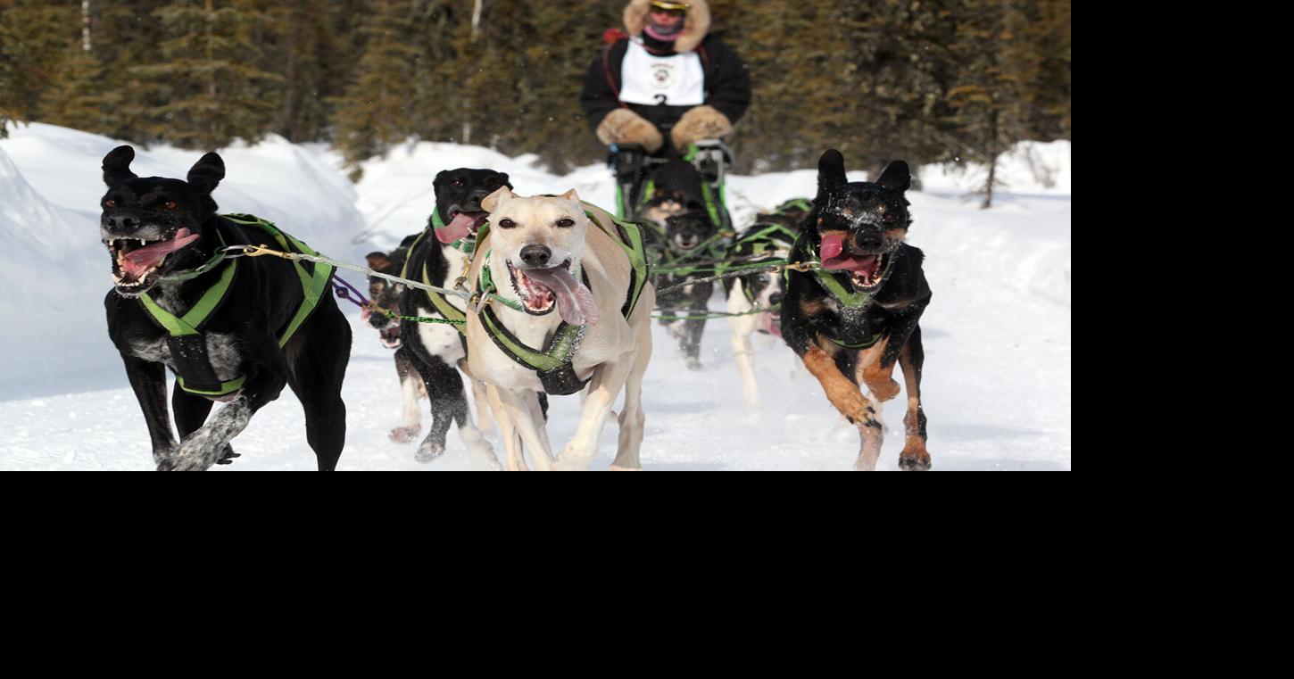 On the final day of the Open North American, it could be any musher's ...