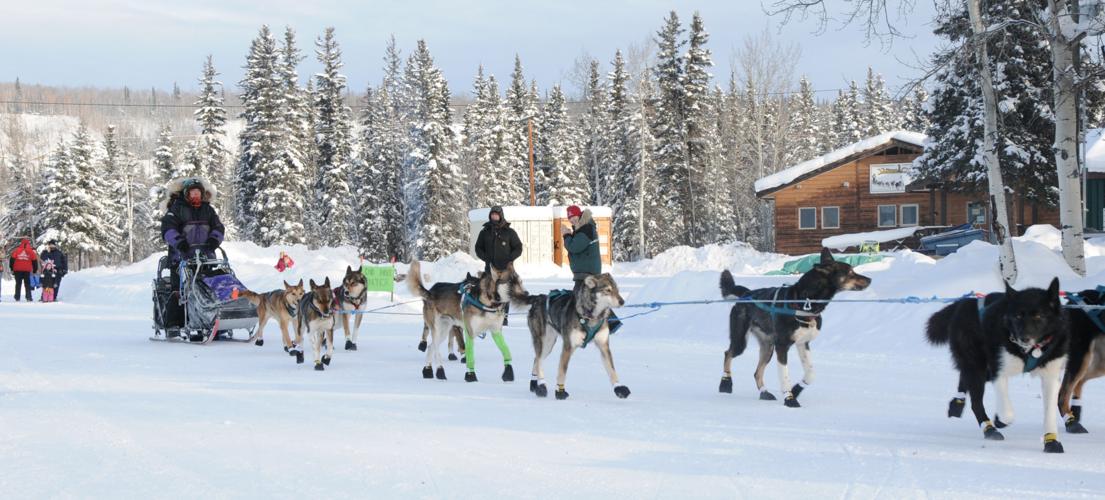 Sass leads race out of Pelly Crossing; Dalton and Tingle scratch ...