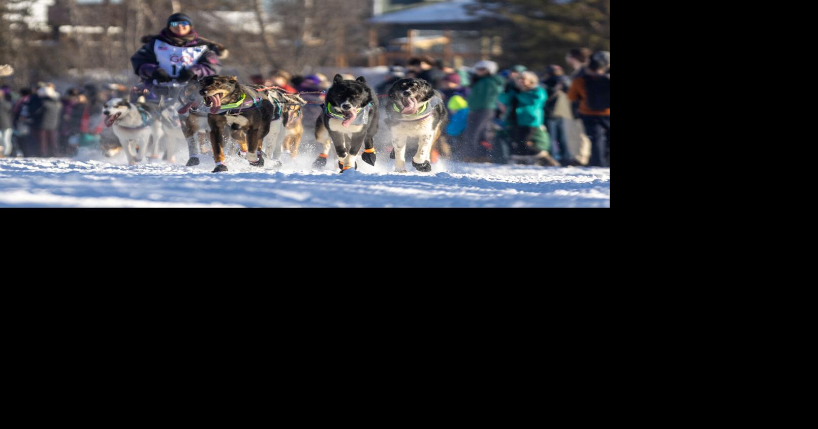Iditarod update: Mushers reach Tanana, many teams on trail to Ruby ...