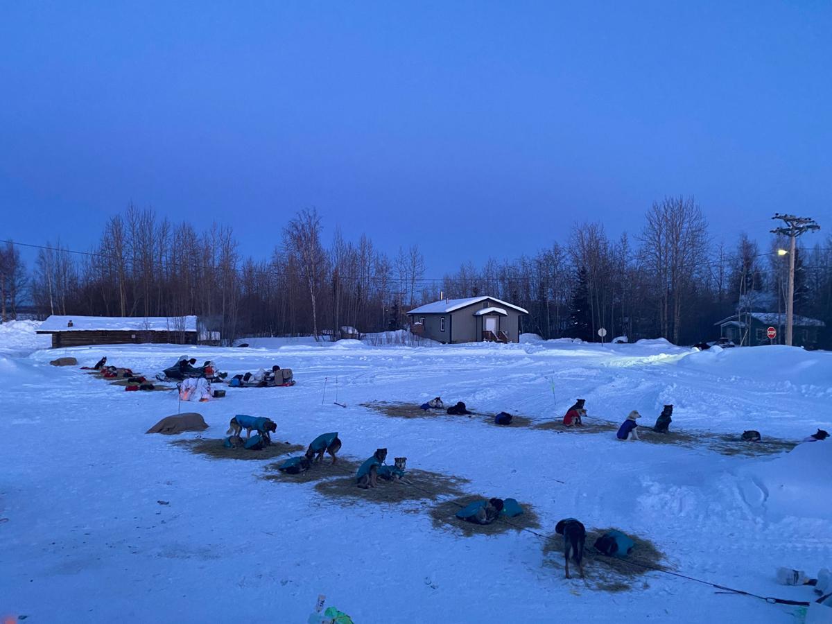 Team traverse hurdles on the Serum Run | Outdoors | newsminer.com