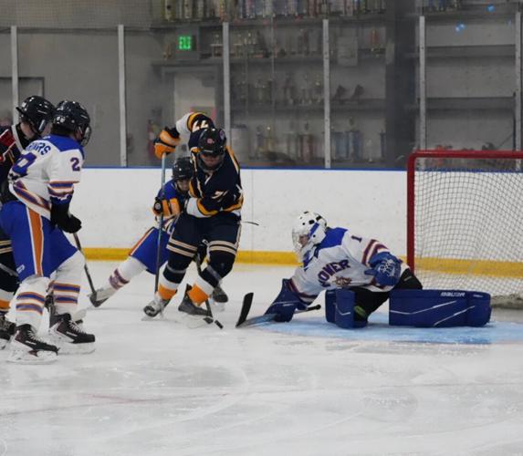 Interior high school hockey roundup | High School | newsminer.com