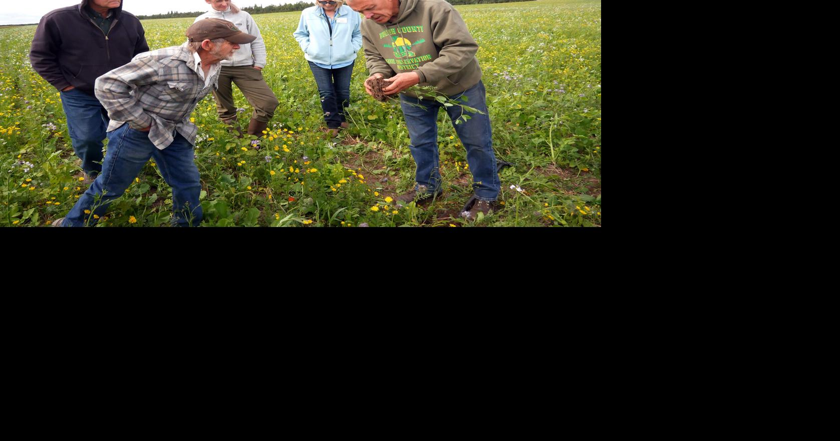 Field Day: Farmers learning new methods to grow crops in Alaska | Local ...