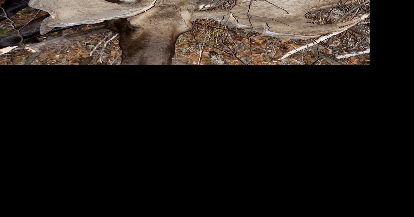 60-Inch Club 2020: Julia Hnilicka | Outdoors | newsminer.com