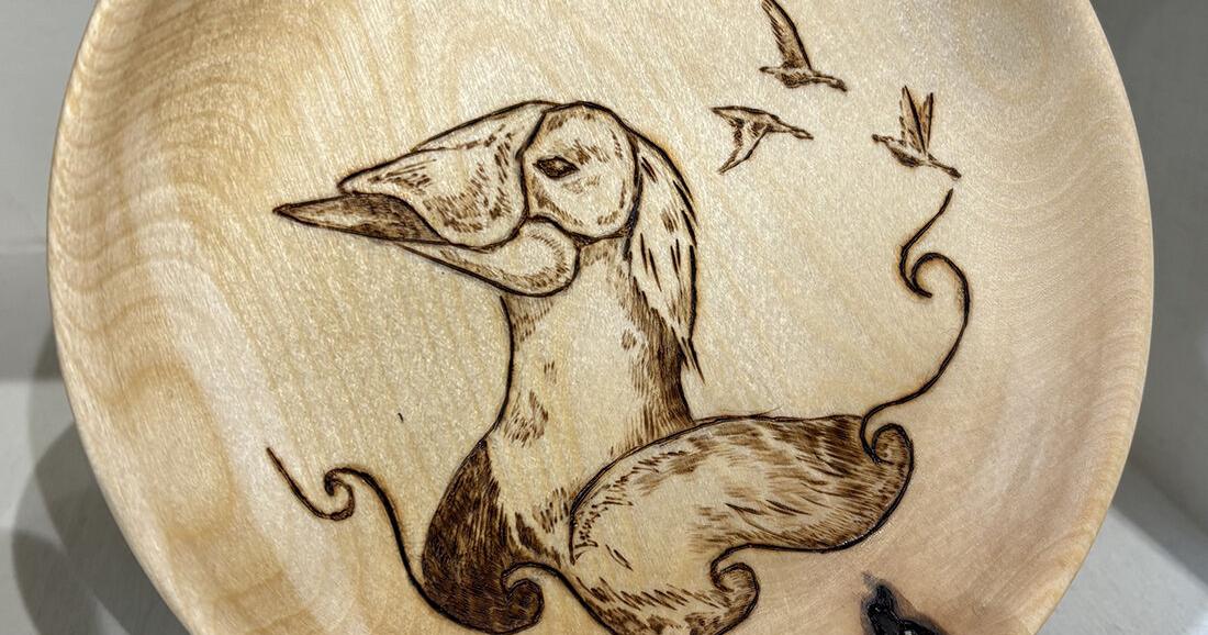 Drawing the nature all around, Addie Willsrud finds understanding ...
