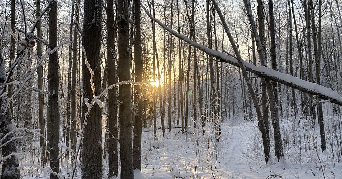 Up to 7 inches of snow expected through Tuesday | Weather | newsminer.com