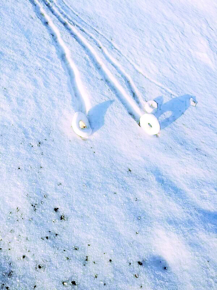 Nature rolls out an oddity: Snow doughnuts at Fort Knox | Our Town ...