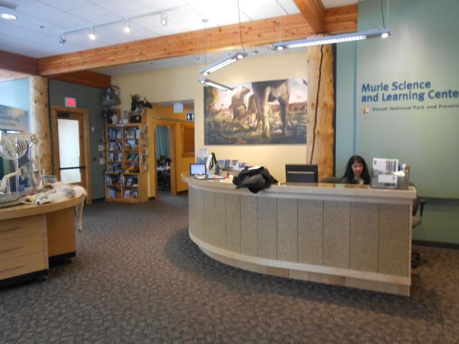 Visiting snowy Denali | Kris Capps | newsminer.com