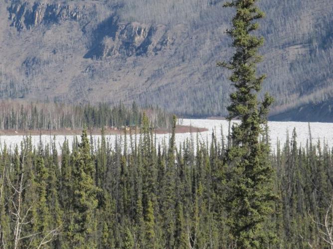 Ice jams on Yukon River downstream from Eagle | Alaska News | newsminer.com