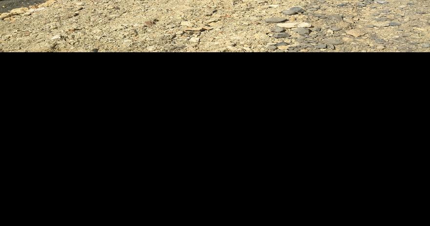 Denali Park Road landslide | | newsminer.com
