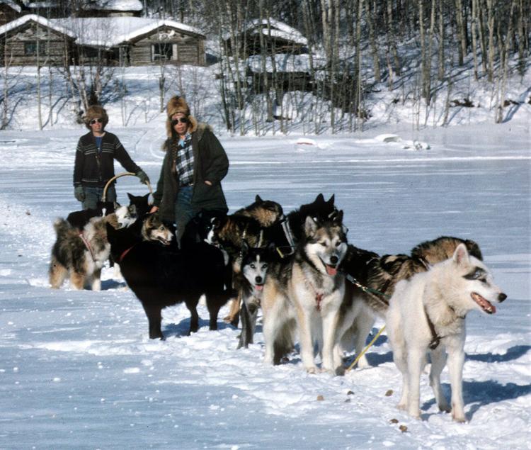 Strong dogs, good weather make for a memorable trapping season ...