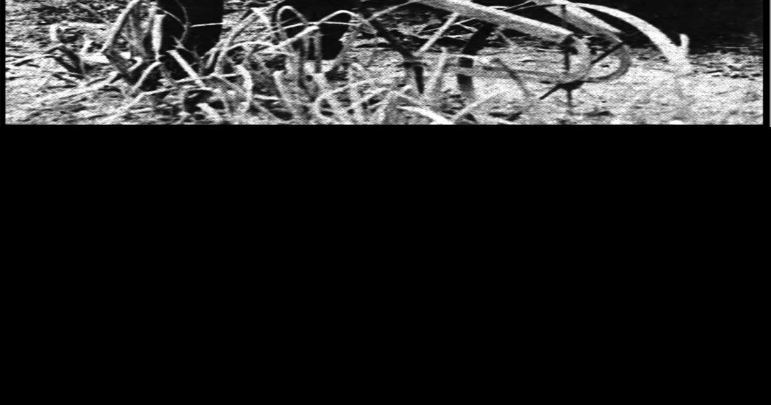 John Joslin 'wrestled with the raw country' and the Tanana Valley ...